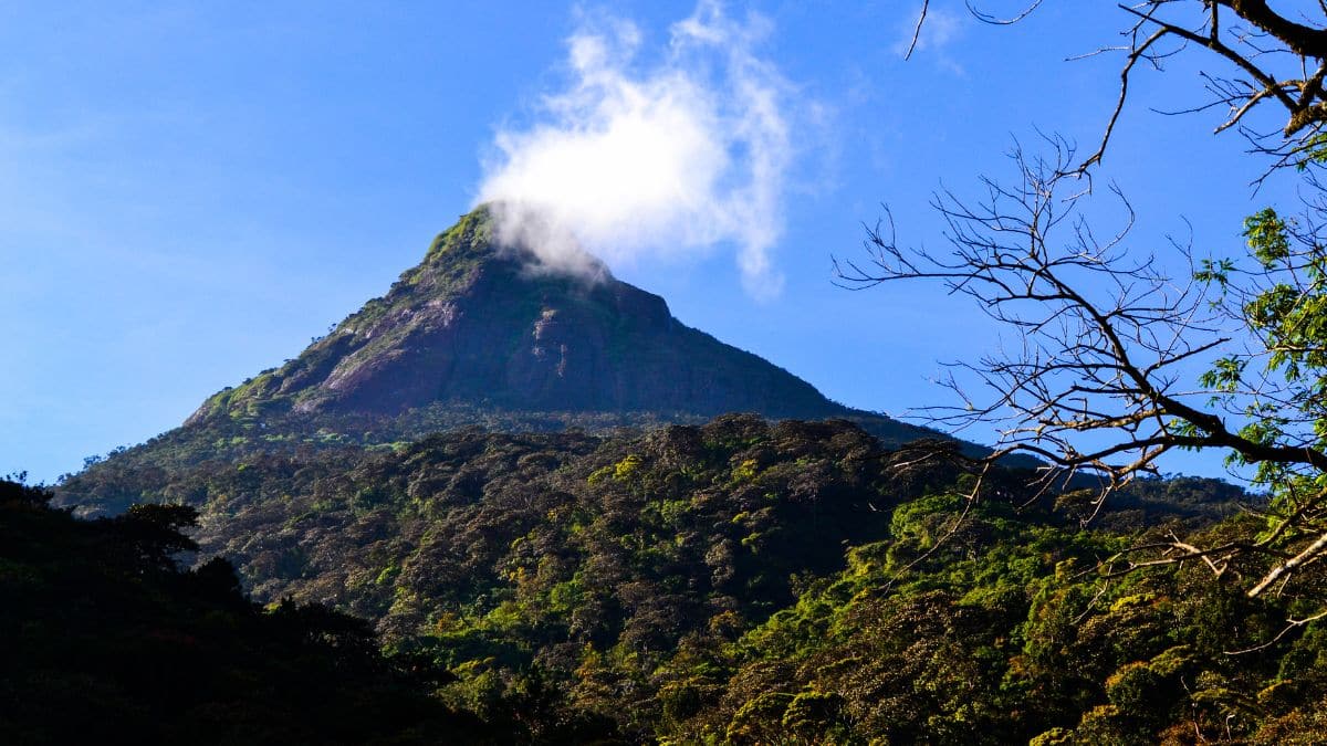 Que faire pendant 3 jours au Tampon à La Réunion